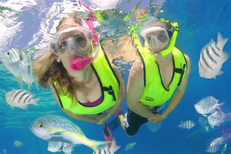 Bahamas Cruise Excursions Nassau Ultimate Snorkeling Adventure 99us