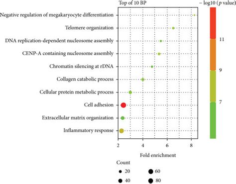 Go Functional Annotation And Kegg Pathway Analysis Of The Degs Go Download Scientific Diagram