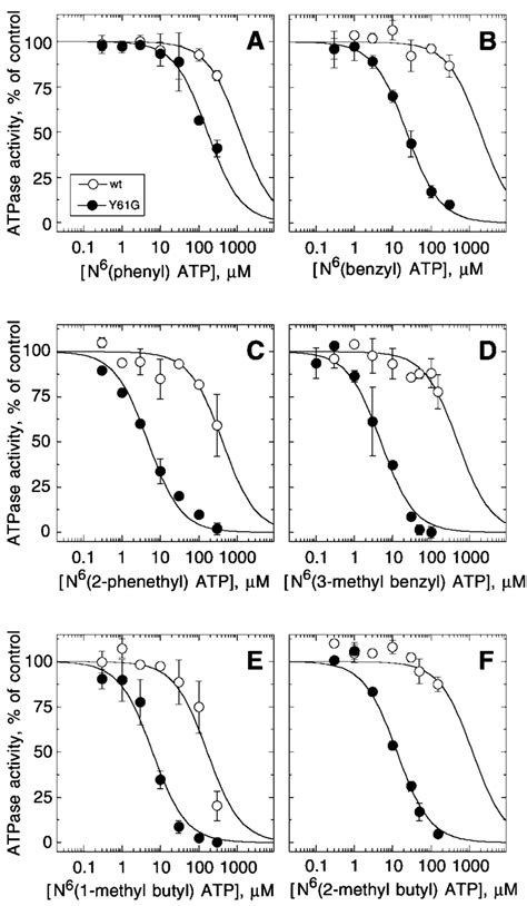 Inhibition Of 32 P Atp Hydrolysis By N 6 Modified Adenosine