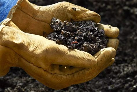 Війна постраждали ґрунти України