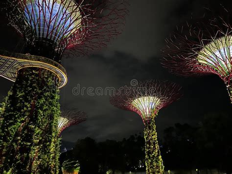 Lights Installed In Place Stock Image Image Of Fireworks