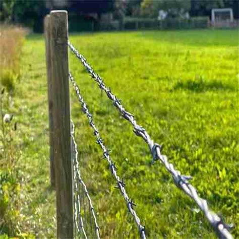 Barbed Wire And Razor Barbed Wire Manufacturer And Supplier Deze Fence