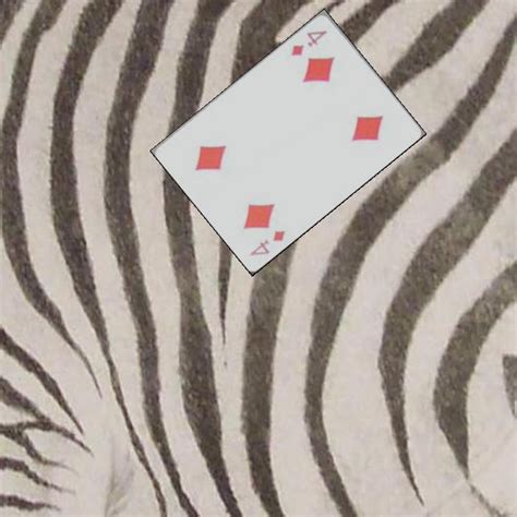 4d object detection dataset by dankrad