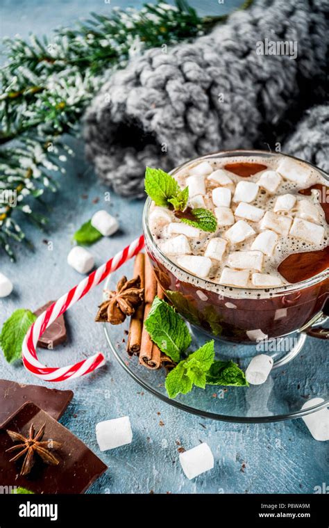 Homemade Hot Chocolate With Mint Candy Cane And Marshmallow Light