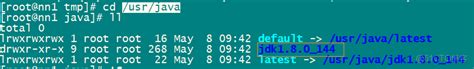 Hadoop专区 在虚拟机安装hadoop并启动hdfs并运行mapreduce程序csdn Hadoop 虚拟化部署bugouhen的技术