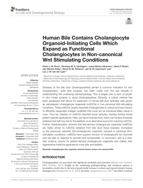 Pdf Human Bile Contains Cholangiocyte Organoid Initiating Cells Which Expand As Functional