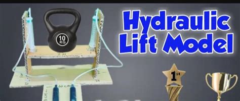 Need Help In Class 11 Physics Project Rcbse