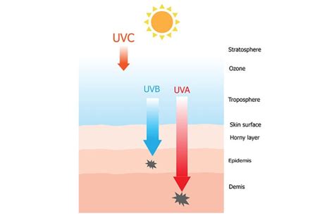 15 Crucial Facts About Ultraviolet Rays And The Sun Optics Mag