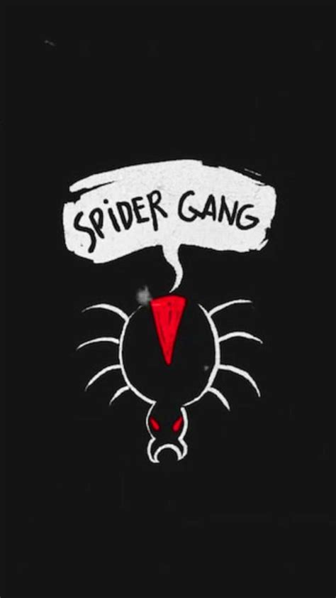 Spider Gang Wallpaper Ixpap