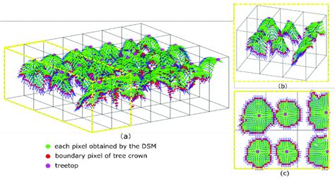 Schematic Diagram Showing The Individual Tree Crown Segmentation For