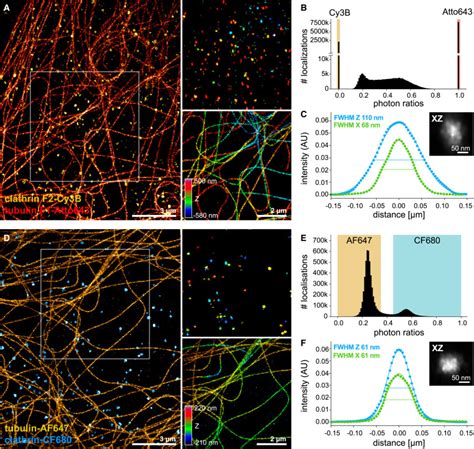 Assessing Crosstalk In Simultaneous Multicolor Single Molecule Localization Microscopy Cell