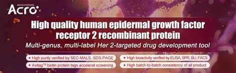 Antibody Immunization Screening And Validation With Recombinant Proteins