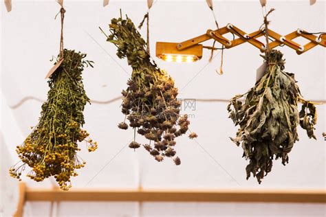 白色背景中悬挂的药草束高清图片下载 正版图片503843195 摄图网
