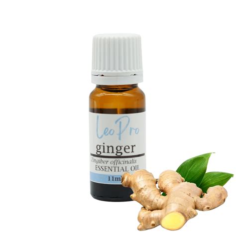 Ginger Oil 11ml Zingiber Officinale