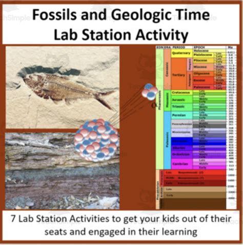 Fossils And Geologic Time Lab Station Activity By Teach Simple