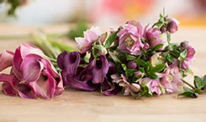 Use Filters To Add Effects To An Image