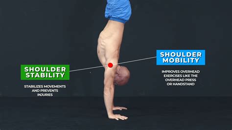 The Benefits Of Passive And Active Hangs Cali Move