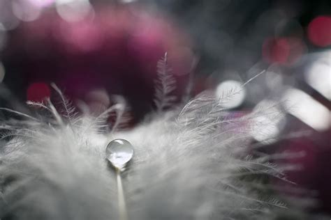 Stories Of Drops Photograph By Dmitry Doronin Fine Art America
