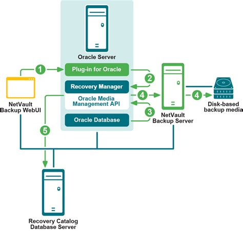 Netvault Plug In For Oracle 123 User Guide