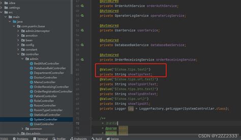 【解决方法汇总】springboot项目报错 Could Not Resolve Placeholder ‘‘ In Value
