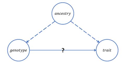 Chapter 2 Introduction To Genetics Gwas And Local Ancestry Inference Gwas Local Ancestry