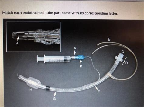 Solved Match Each Endotracheal Tube Part Name With Its