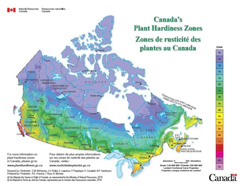 Understanding Hardiness Zones Laidback Gardener