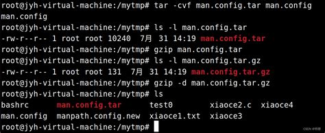 Linux基础命令：常用文件管理命令6——文件压缩和打包linux打包zip命令 Csdn博客
