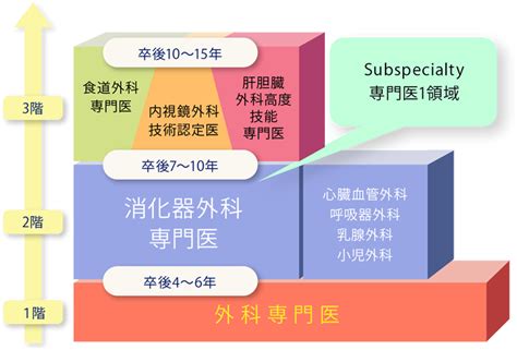 専攻医プログラム 学生・研修医の皆様へ 昭和大学医学部 外科学講座 消化器・一般外科学部門
