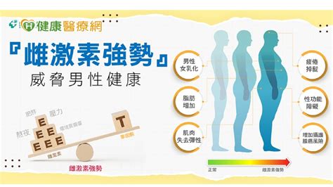 男人也會雌激素過多 恐導致性功能障礙等6大風險 健康醫療網