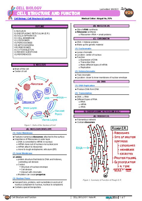 cell structure function atf cell structure and function cell biology note 1 1 of 7 3 cell