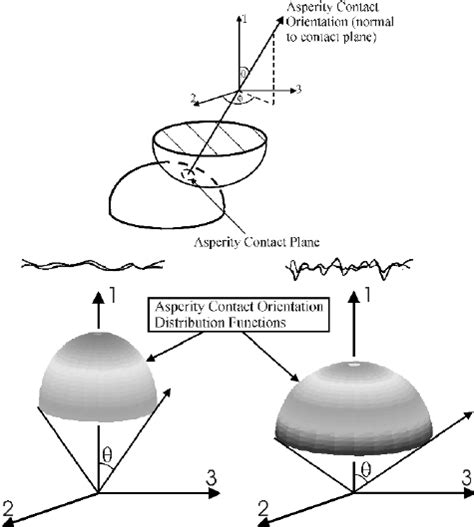 Asperity Height Distributions With Varying Download Scientific Diagram