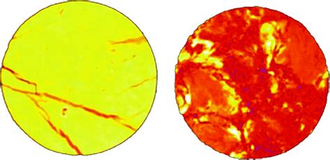 3 Ct Scan Of Active Layer And Permafrost Layer Resource From Lawrence