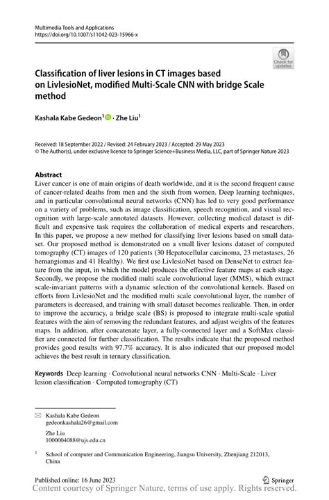 Classification Of Liver Lesions In Ct Images Based On Livlesionet Modified Multi Scale Cnn With