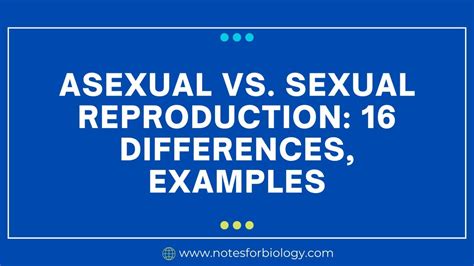Asexual Vs Sexual Reproduction Differences Examples