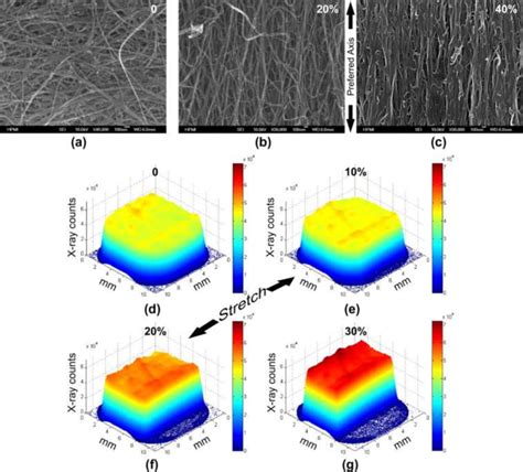1 Sem Images And X Ray Nanographs Of Carbon Nanotube Networks At Download Scientific Diagram