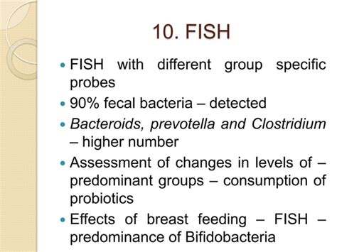 Culture Independent Methods For Detection And Enumeration Of Gut Microflora Pptx Digestive