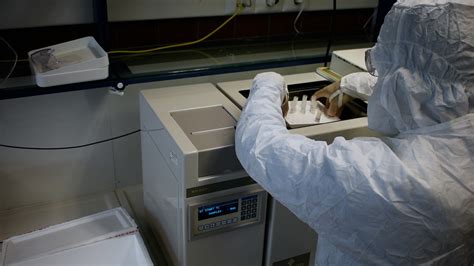 Video A Gmp Compliant Procedure For The Generation Of Gene Modified T