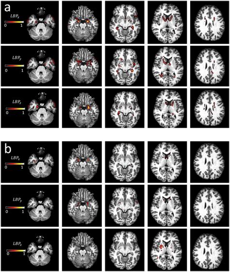 Average Feature Weights Yielded By Linear Svm In Differentiating A Ad
