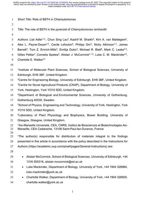 Pdf The Role Of Bst4 In The Pyrenoid Of Chlamydomonas Reinhardtii