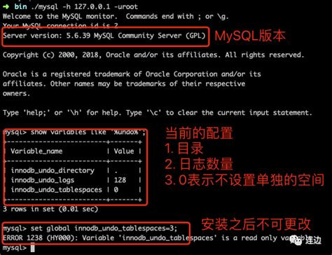 mysql undo log 事务回滚 多个行版本控制 表空间 树懒学堂