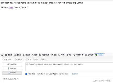 Ctfhub 技能树 Web题 Rce（远程代码执行） 文件包含ctfhub技能书rce Csdn博客