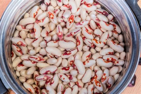 რჩევები როგორ აარჩიოთ ლობიო სწორად რომ სწრაფად და გემრიელად მოხარშოთ რჩევები ვივიენისგან