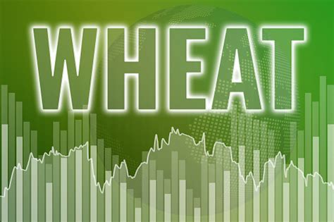 그래프 차트 열 지구지도에서 녹색 금융 배경에 밀 선물 거래에 가격 변화 위아래로 추세 금융 파생상품 시장 개념 가격에 대한 스톡 벡터 아트 및 기타 이미지 Istock