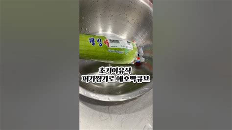 🧑🏻‍🍳초기이유식 퍼기찜기로 애호박큐브만들기 Youtube