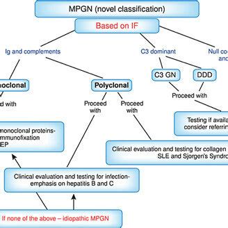 An Approach To The Histologic Pattern Of MPGN Based On Download Scientific Diagram