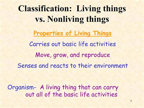 Classification System Ppt