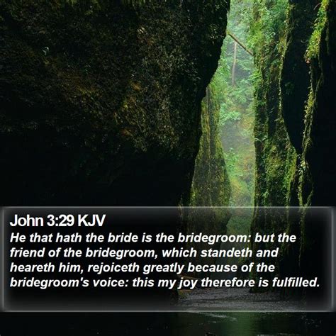 John 329 Kjv Bible Verse Images