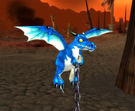 Fettered Blue Whelpling Npc World Of Warcraft