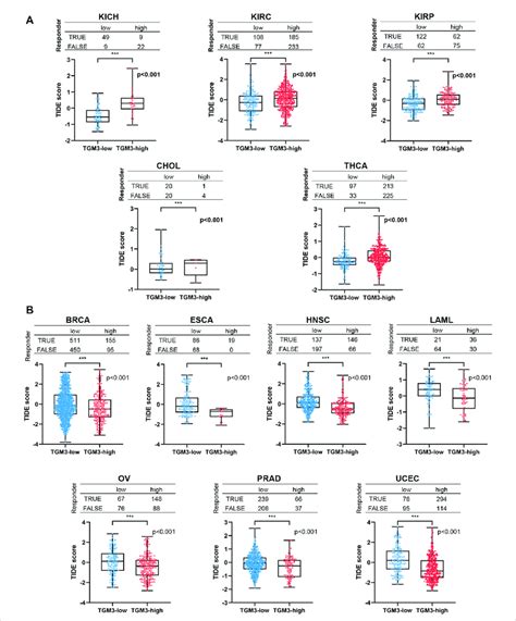 The Relationship Between Tgm3 And Patient Response To Ici Therapy A Download Scientific